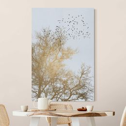 Bilderwelten Akustikbild Wald gold modern Schallschutzbild - Vogelschwarm vor goldenem Baum - B&auml;ume Wohnzimmer Schlafzimmer