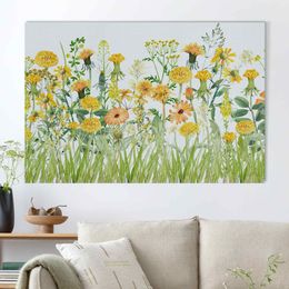 Bilderwelten Akustikbild Blumen gr&uuml;n Illustration Aquarell - Aquarellierte Blumenwiese in Gelb - Blumenwiese Wohnzimmer Schlafzimmer