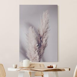 Bilderwelten Akustikbild rosa Landhaus Schallschutzbild - Pampasgras im Studiolicht - Gr&auml;ser Wohnzimmer Schlafzimmer