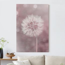 Bilderwelten Akustikbild Blumen rosa Tropisch Schallschutzbild - Pusteblume Bokeh rosa - Pflanzen Wohnzimmer Schlafzimmer