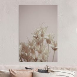Bilderwelten Akustikbild Blumen beige modern Schallschutzbild - Sepia Trockenblumen - Wandbild Wohnzimmer Schlafzimmer