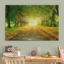 Akustikbild Autumn Avenue