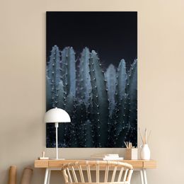 Akustikbild W&uuml;stenkaktus bei Nacht