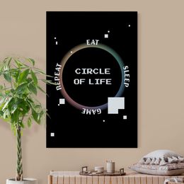 Akustikbild Klassik Videospiel Circle of Life