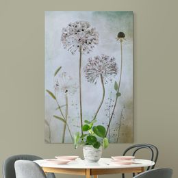 Akustikbild Lauchbl&uuml;ten in Pastell