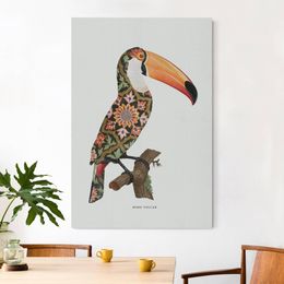Bilderwelten Akustikbild Tiere bunt Vintage Schallschutzbild - Boho Vogel - Tukan - Lustig Wohnzimmer Schlafzimmer