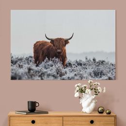 Akustikbild Bison in den Highlands
