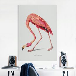 Bilderwelten Akustikbild Tiere pink Vintage Schallschutzbild - Boho Vogel - Flamingo - Lustig Wohnzimmer Schlafzimmer