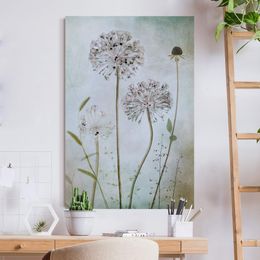 Bilderwelten Akustikbild Lauchbl&uuml;ten in Pastell Illustration - Schallschutzbild XXL - B&uuml;ro Arbeitzimmer Schlafzimmer Wohnzimmer