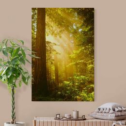 Akustikbild Morgengold