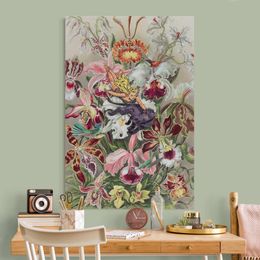 Akustikbild Nymphe mit Orchideen