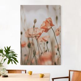 Bilderwelten Akustikbild rot Motiv Schallschutzbild - Mohnbl&uuml;ten im Sommerwind - Mohn Wohnzimmer Schlafzimmer