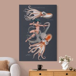 Akustikbild Nymphe mit Oktopussen