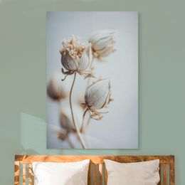 Akustikbild Knospen und Bl&uuml;ten