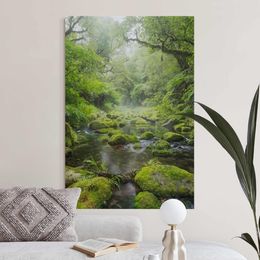 Bilderwelten Akustikbild Wald gr&uuml;n Motiv Schallschutzbild - Bay of Plenty - B&auml;ume Wohnzimmer Schlafzimmer