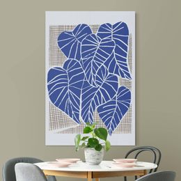 Akustikbild Alocasia Bl&auml;tter