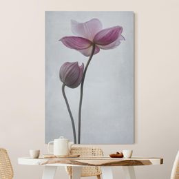 Bilderwelten Akustikbild Blumen rosa Tropisch Schallschutzbild - Anemonen in rosa - Pflanzen Wohnzimmer Schlafzimmer