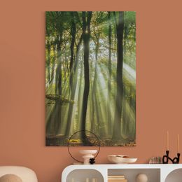 Akustikbild Sonnentag im Wald