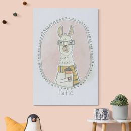 Akustikbild Koffeinhaltiges Lama