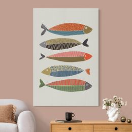 Akustikbild F&uuml;nf bunte Fische