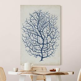 Bilderwelten Akustikbild beige Vintage Schallschutzbild - Indigo Koralle I - Pflanzen Wohnzimmer Schlafzimmer