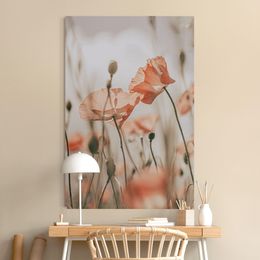 Akustikbild Mohnbl&uuml;ten im Sommerwind