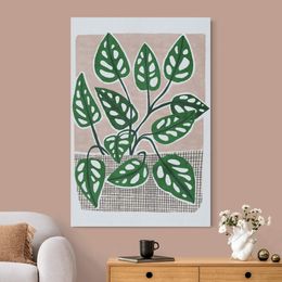 Akustikbild Monstera im Korb