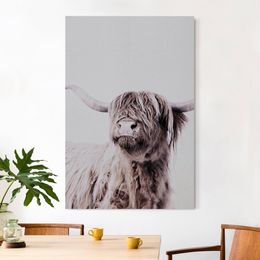 Bilderwelten Akustikbild Tiere beige Motiv Schallschutzbild - Hochlandrind Frida in Beige - Wandbild Wohnzimmer Schlafzimmer