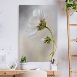 Bilderwelten Akustikbild Blumen beige Motiv Schallschutzbild - Himmlischer Bl&uuml;tentraum - Wandbild Wohnzimmer Schlafzimmer