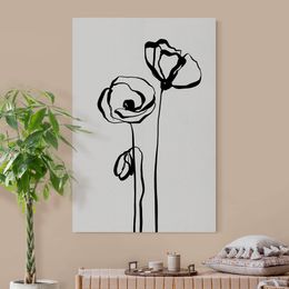 Akustikbild Mohn Illustration I