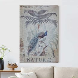 Bilderwelten Akustikbild Shabby Chic Collage - Pfau