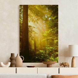 Bilderwelten Akustikbild Wald gelb Motiv Schallschutzbild - Morgengold - B&auml;ume Wohnzimmer Schlafzimmer