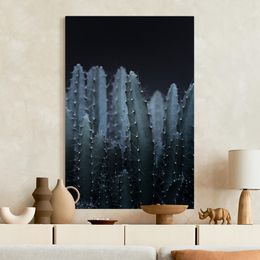 Bilderwelten Akustikbild schwarz Motiv Schallschutzbild - W&uuml;stenkaktus bei Nacht - Wandbild Wohnzimmer Schlafzimmer