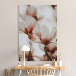 Bilderwelten Akustikbild Blumen rosa Motiv Schallschutzbild - Zarte Magnolienbl&uuml;ten im Lichtspiel - Wandbild Wohnzimmer Schlafzimmer