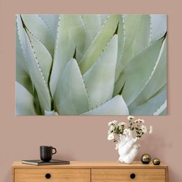 Akustikbild Aloe
