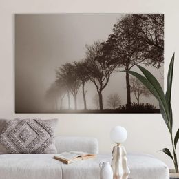 Bilderwelten Akustikbild Wald braun Motiv Schallschutzbild - Baumallee im Morgennebel - B&auml;ume Wohnzimmer Schlafzimmer