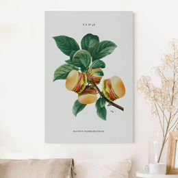 Bilderwelten Akustikbild Kulinarisch beige Vintage Schallschutzbild - Vintage Pflanze - Burger - Pflanzen Wohnzimmer Schlafzimmer
