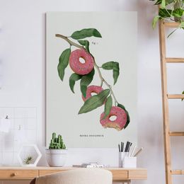 Bilderwelten Akustikbild Kulinarisch beige Vintage Schallschutzbild - Vintage Pflanze - Donut - Pflanzen Wohnzimmer Schlafzimmer