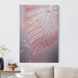 Bilderwelten Akustikbild rosa Tropisch Schallschutzbild - Rosa Blatt Close-Up - Gr&auml;ser Wohnzimmer Schlafzimmer