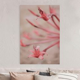 Bilderwelten Akustikbild Blumen rosa modern Schallschutzbild - Feuerlilie - Wandbild Wohnzimmer Schlafzimmer