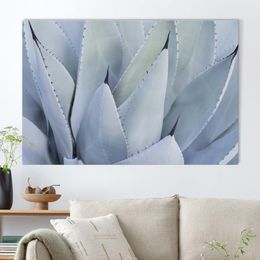 Bilderwelten Akustikbild blau Tropisch Schallschutzbild - Agavenbl&auml;tter - Pflanzen Wohnzimmer Schlafzimmer