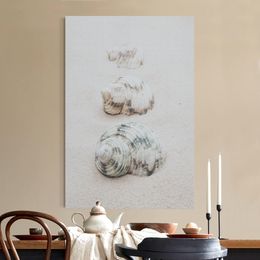 Akustikbild Muscheln im Sand