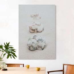 Bilderwelten Akustikbild Strand beige Motiv Schallschutzbild - Muscheln im Sand - Landschaft Wohnzimmer Schlafzimmer
