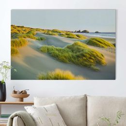 Bilderwelten Akustikbild Strand gr&uuml;n Tropisch Schallschutzbild - D&uuml;nen und Gr&auml;ser am Meer - Gr&auml;ser Wohnzimmer Schlafzimmer