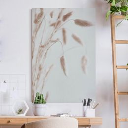 Bilderwelten Akustikbild beige Tropisch Schallschutzbild - Zartes Glanzgras - Gr&auml;ser Wohnzimmer Schlafzimmer