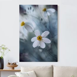 Bilderwelten Akustikbild Blumen blau Motiv Schallschutzbild - Kosmeen in Pastell - Wandbild K&uuml;che