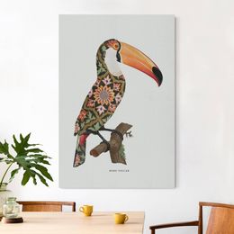 Bilderwelten Akustikbild Boho Vogel - Tukan