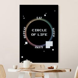 Bilderwelten Akustikbild Klassik Videospiel Circle of Life