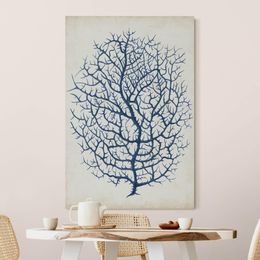 Bilderwelten Akustikbild beige Vintage Schallschutzbild - Indigo Koralle I - Pflanzen Wohnzimmer Schlafzimmer