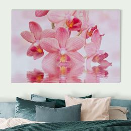 Bilderwelten Akustikbild Blumen pink Motiv Schallschutzbild - Rosa Orchideen auf Wasser - Orchidee Wohnzimmer Schlafzimmer